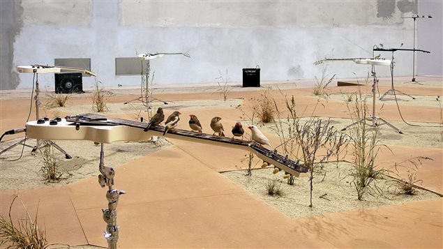 Fly-by pluckers play classical guitar - Slippedisc