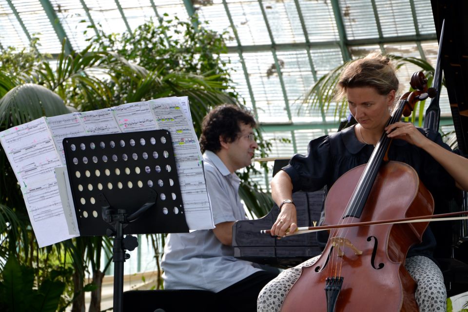 Theft alert: Gofriller cello is snatched on a Paris street - Slippedisc
