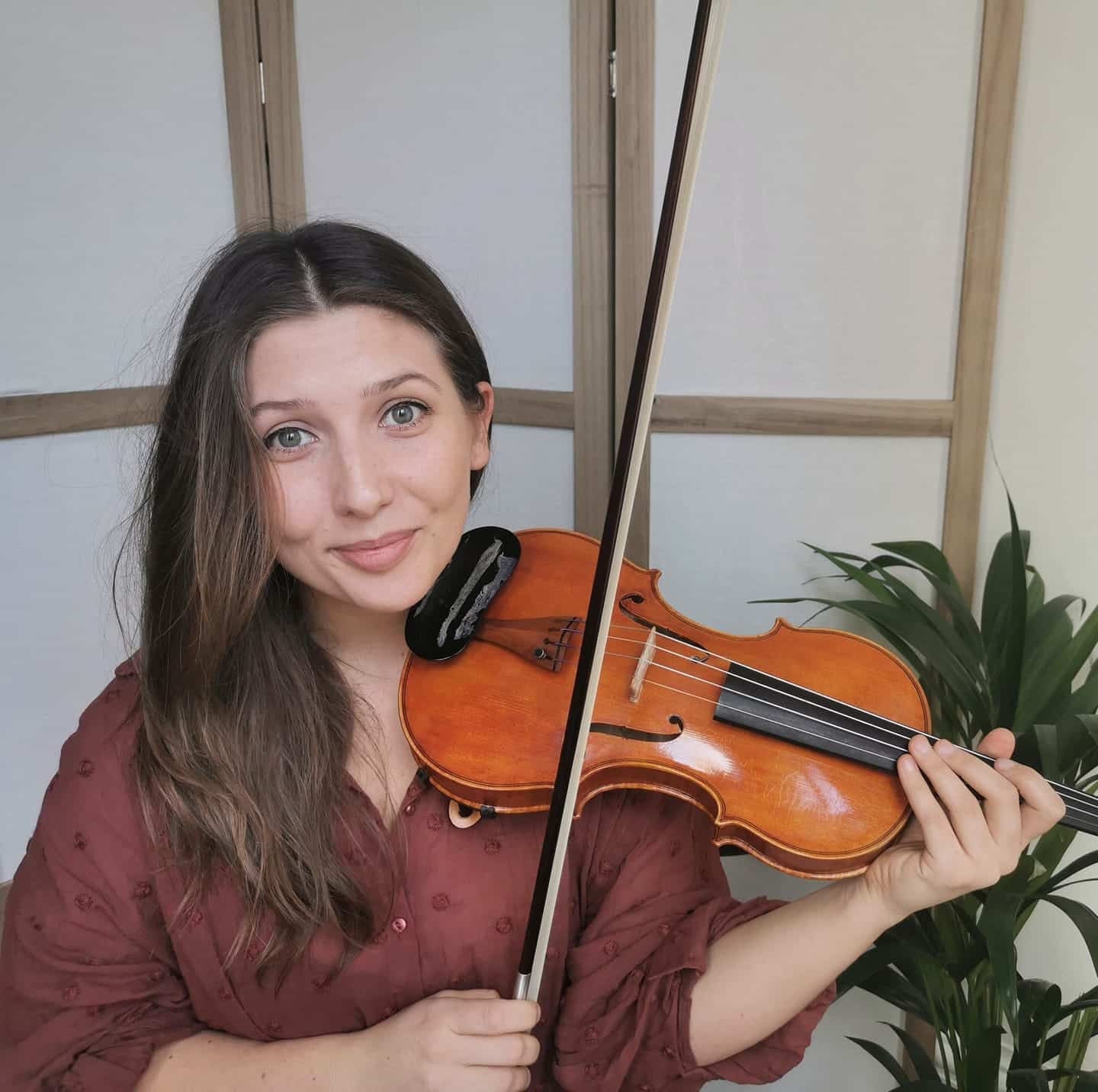 A professor of pop violin? - Slippedisc