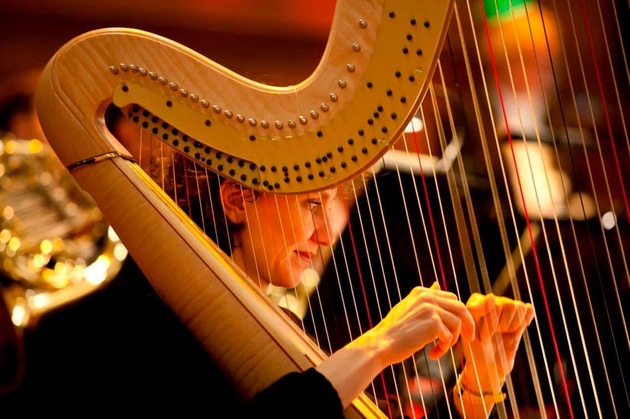 Dutch orchestra goes begging for new harp - Slippedisc